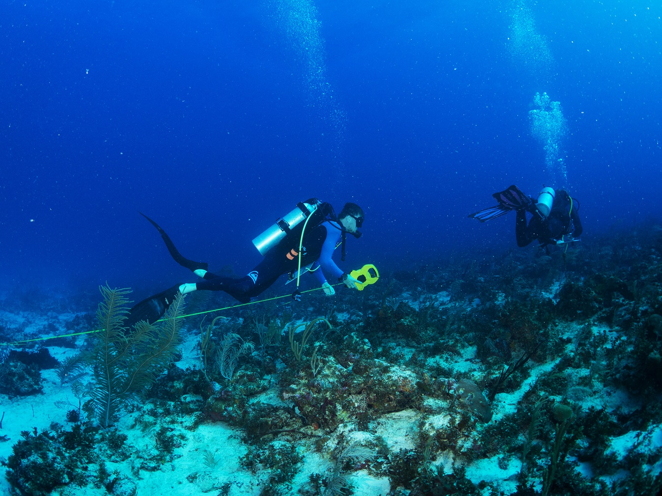 This is how Saba tries to make their vulnerable coral reef climate ...